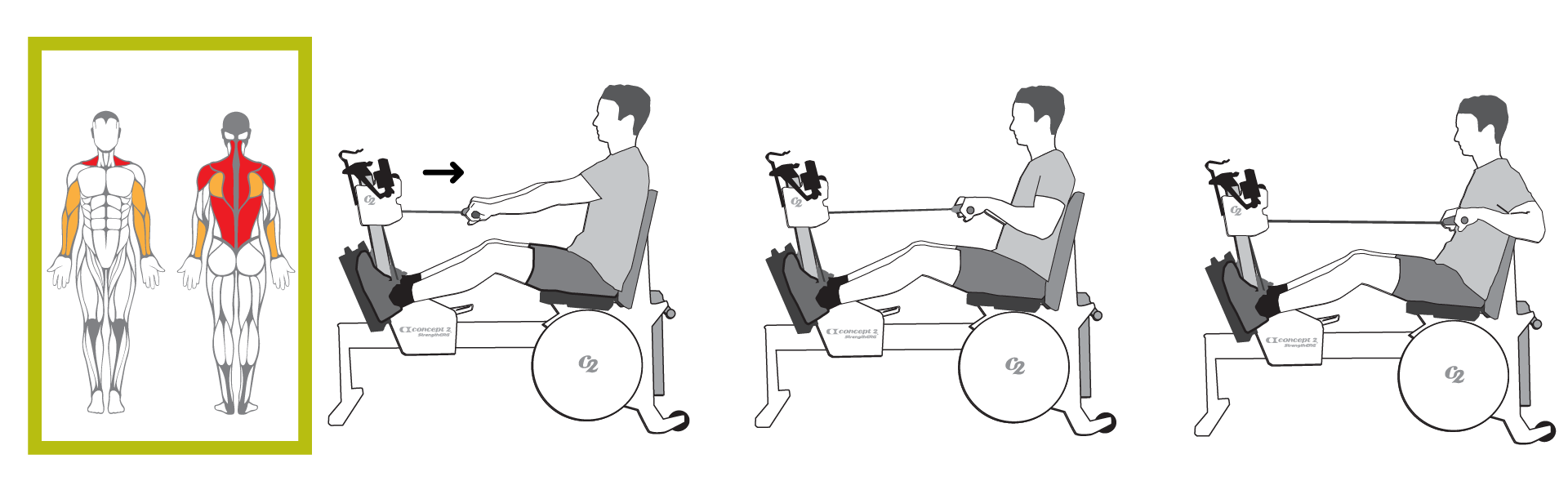Concept2 StrengthErg